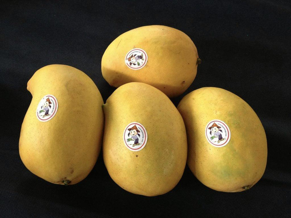 Mango (Myanmar) – Heng Fruits